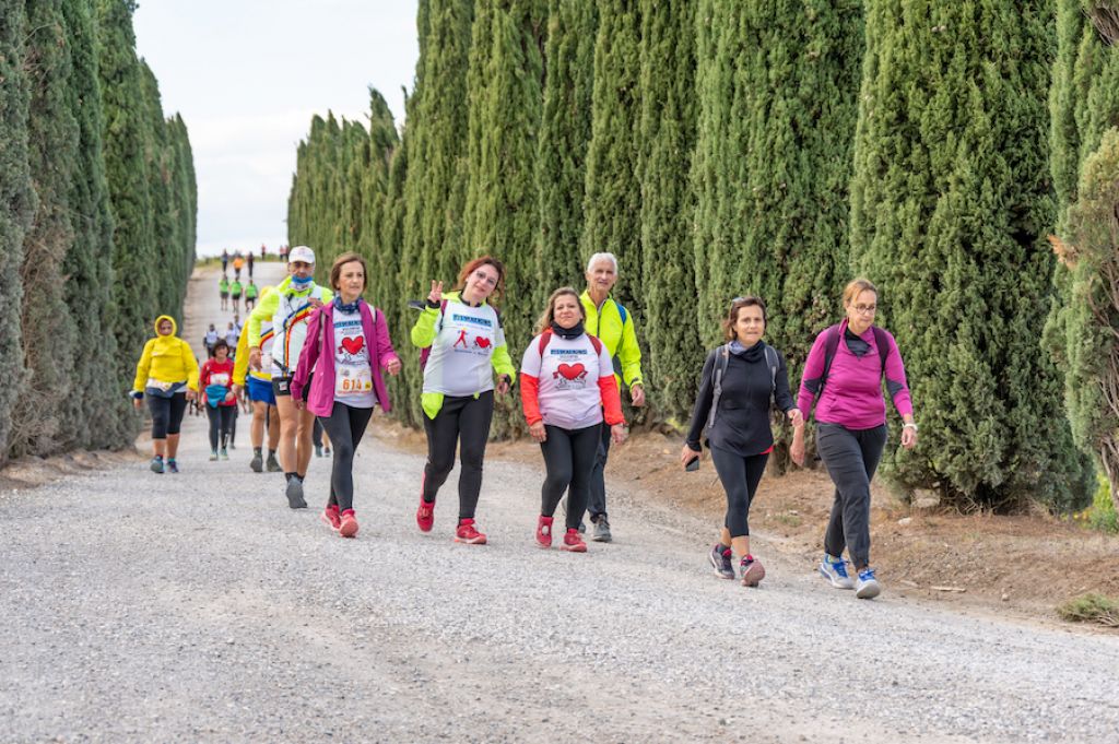 Torna la Walking Francigena Ultramarathon | Montalcino News Torna la Walking Francigena Ultramarathon | Montalcino News